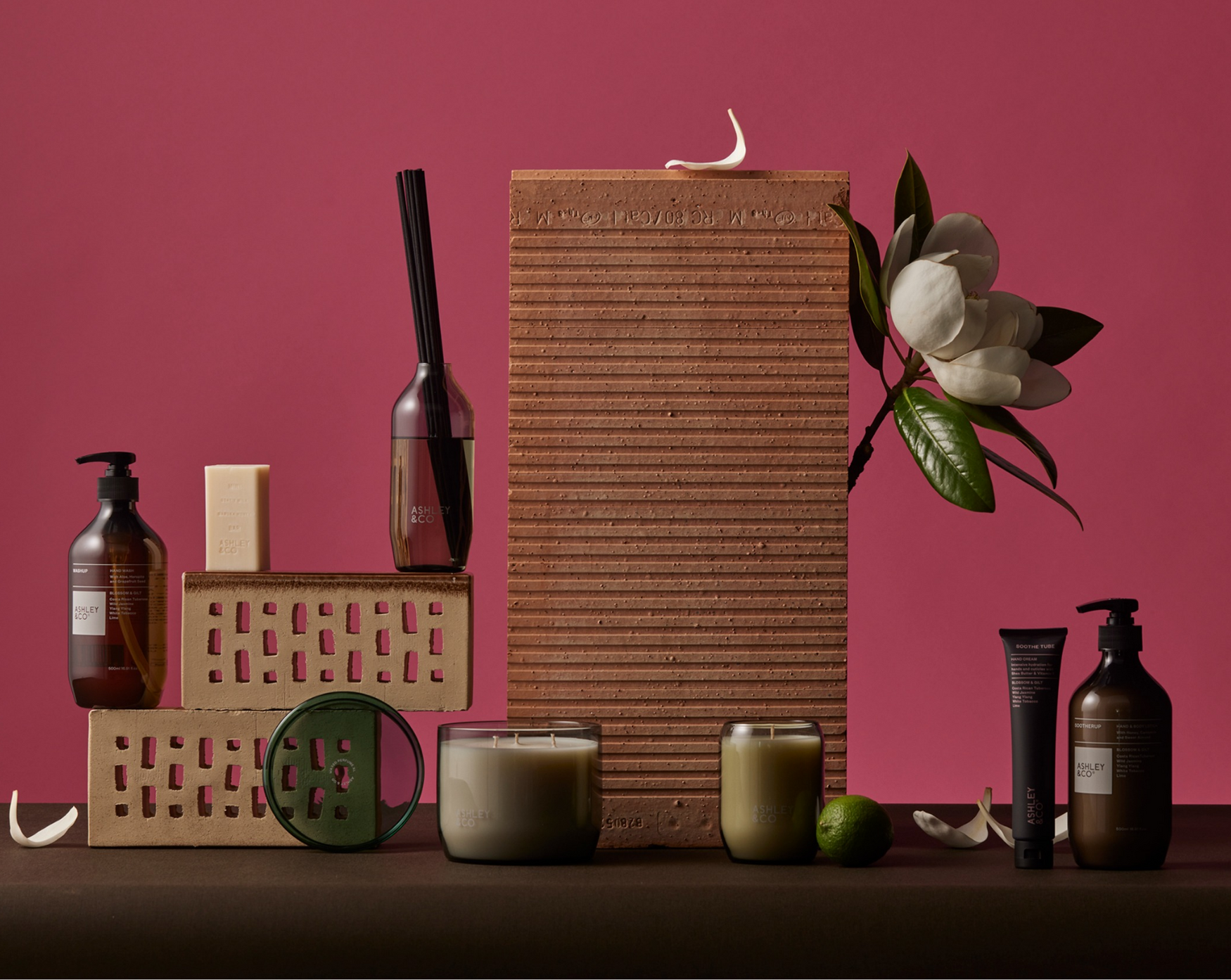 Ashley & Co – UNTIL Wholesale AU